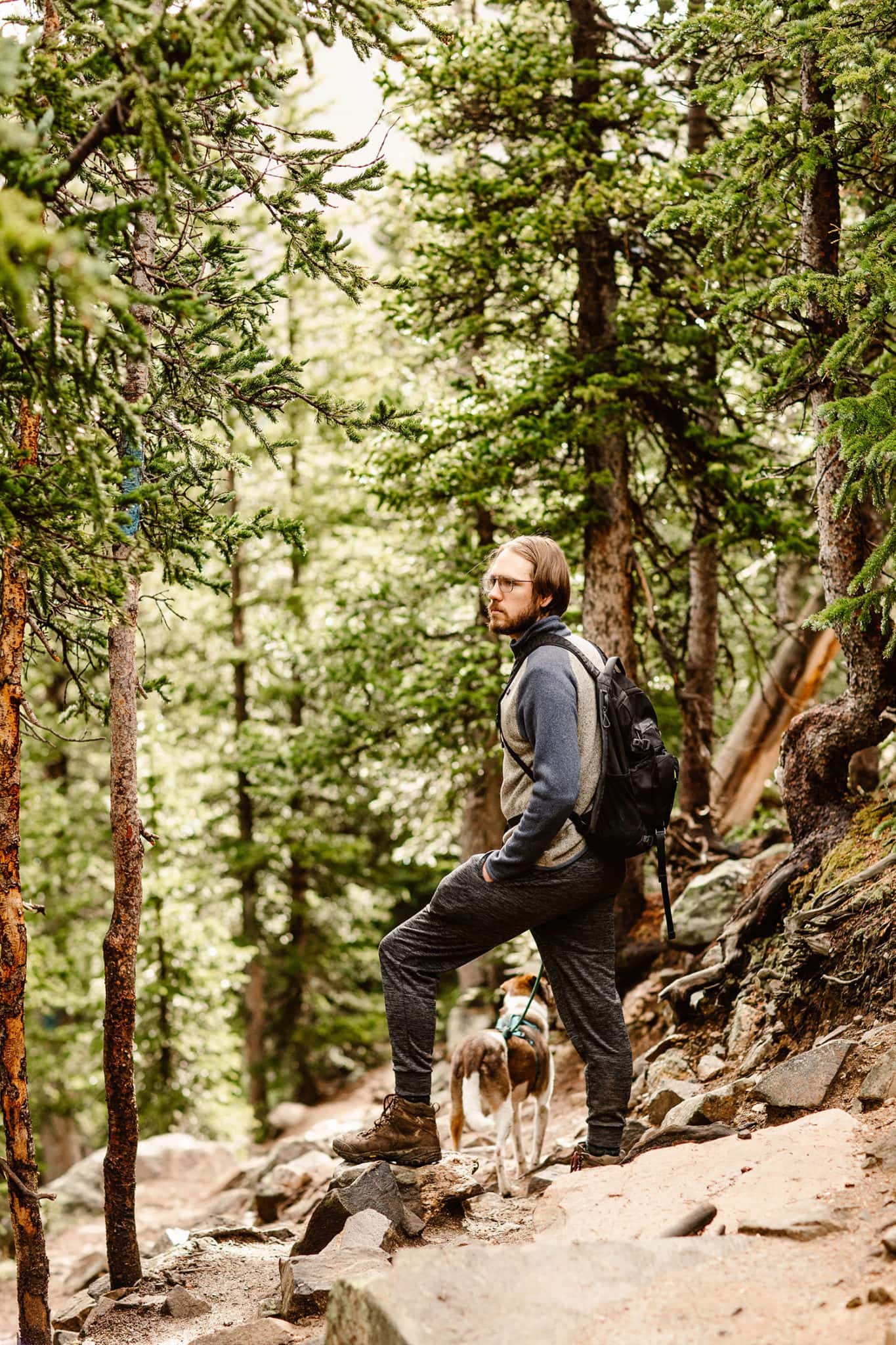 Silver Dollar Lake Trail - A Local Colorado Hiker's Guide