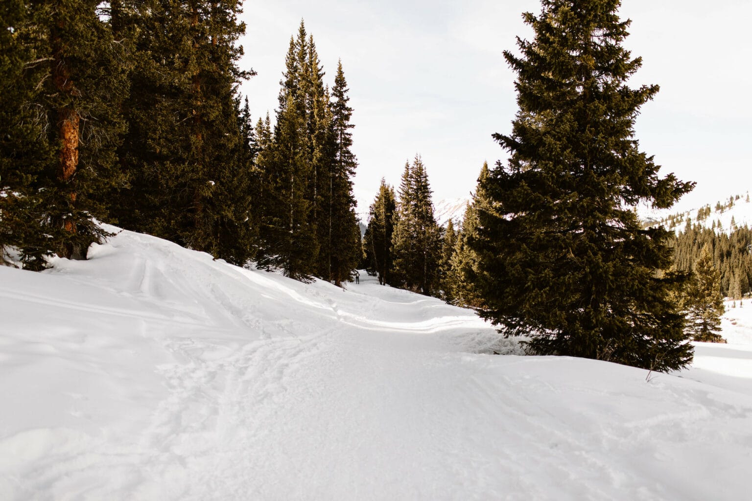 Mayflower Gulch Trail in Colorado - The Ultimate Guide