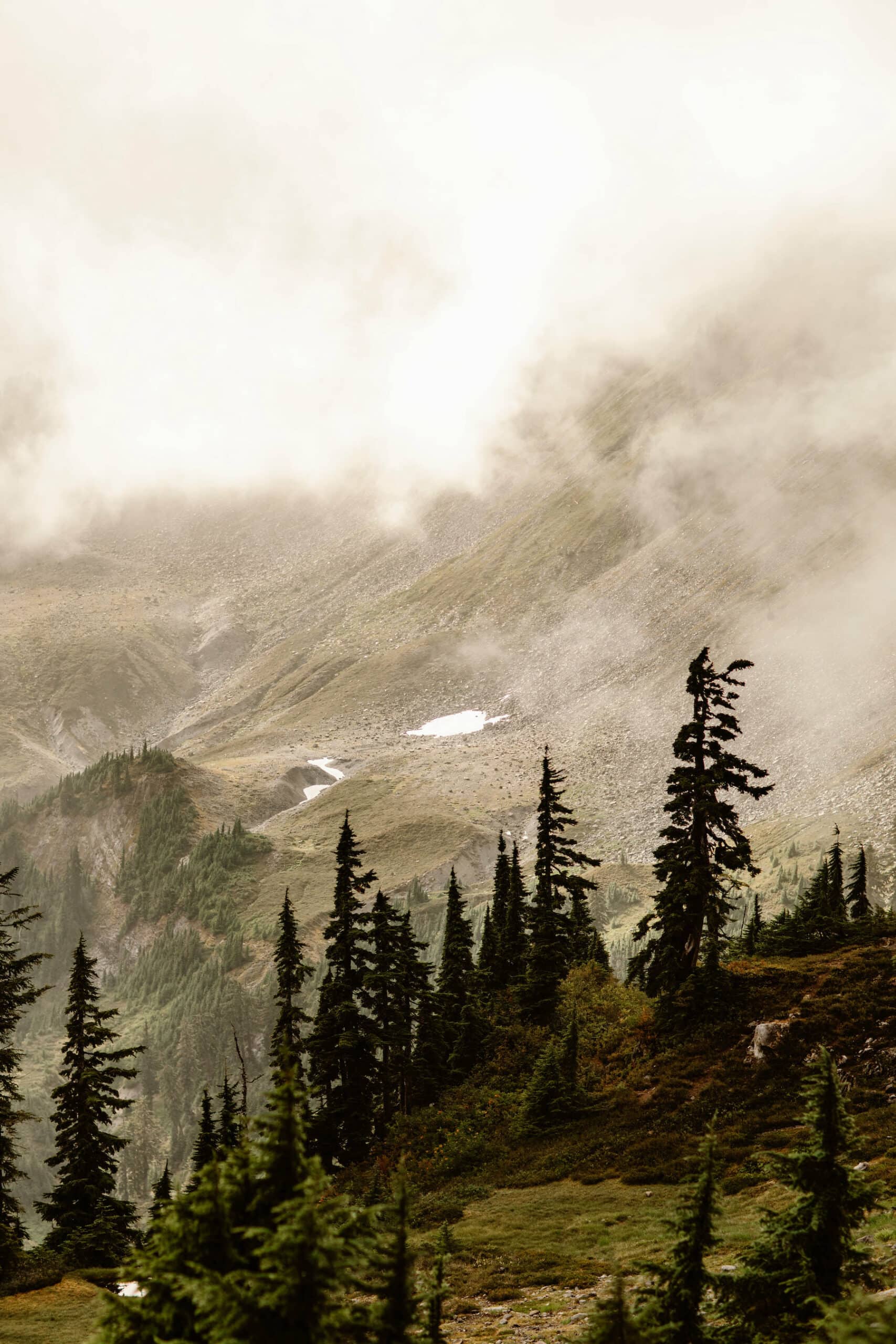 Artist Point at Mt Baker in Washington - The Complete Guide