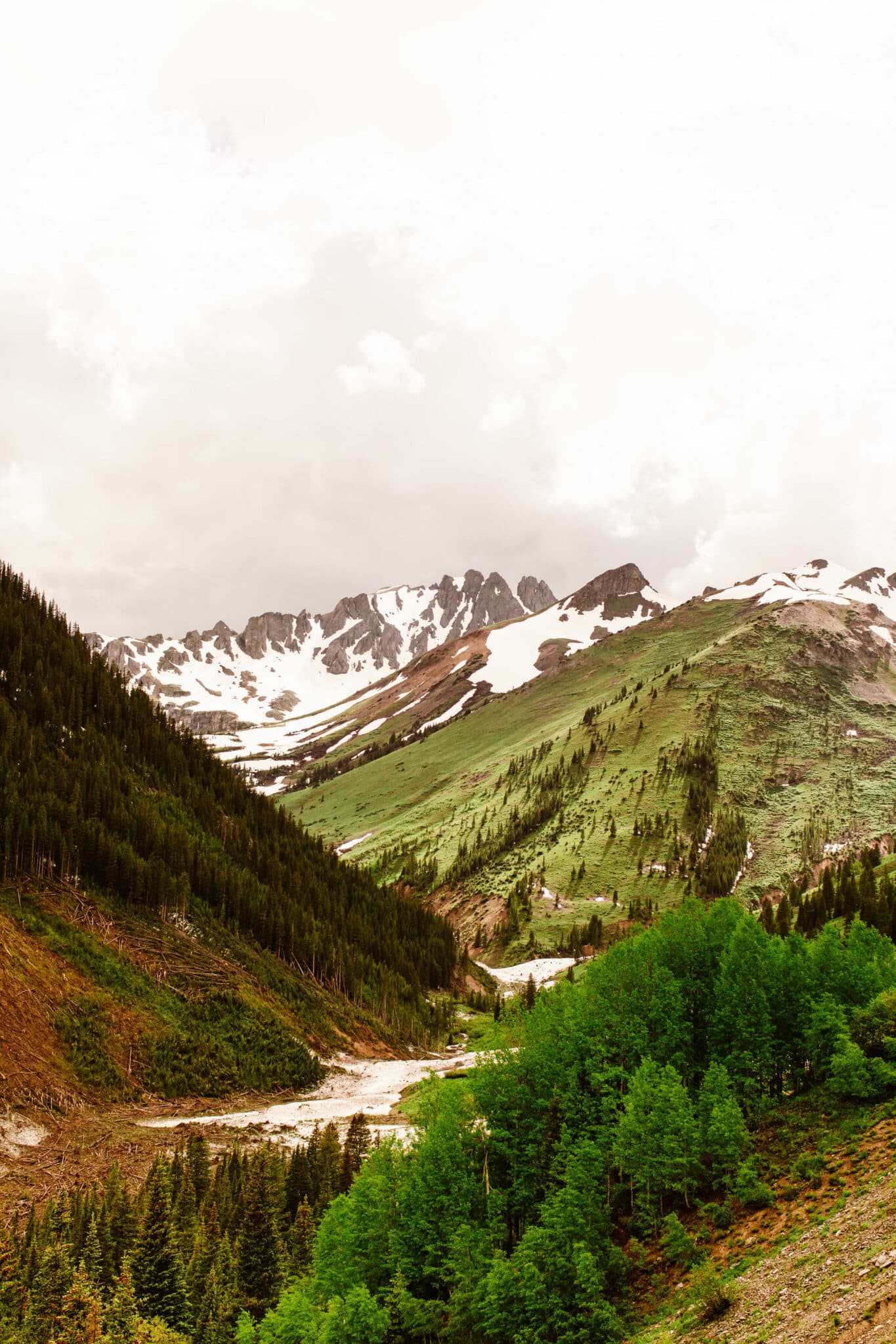 Ophir Pass in Colorado - Everything You Should Know (By Locals)