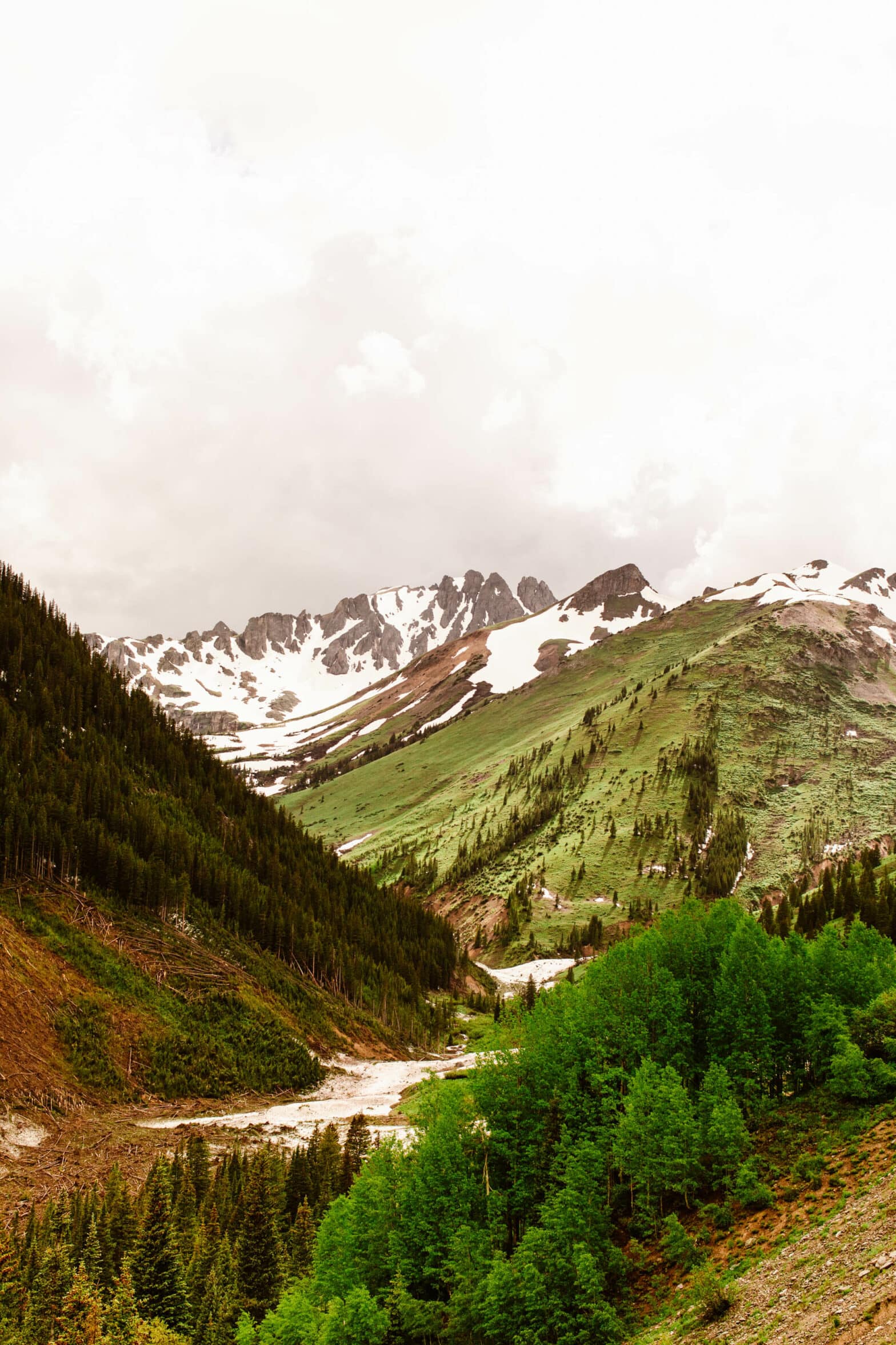 Ophir Pass in Colorado - Everything You Should Know (By Locals)