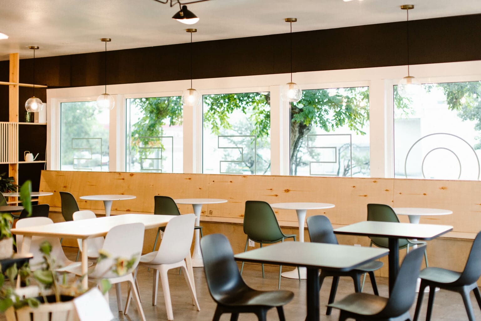 Lima Coffee Roasters in Fort Collins - Full Coffee Shop Review