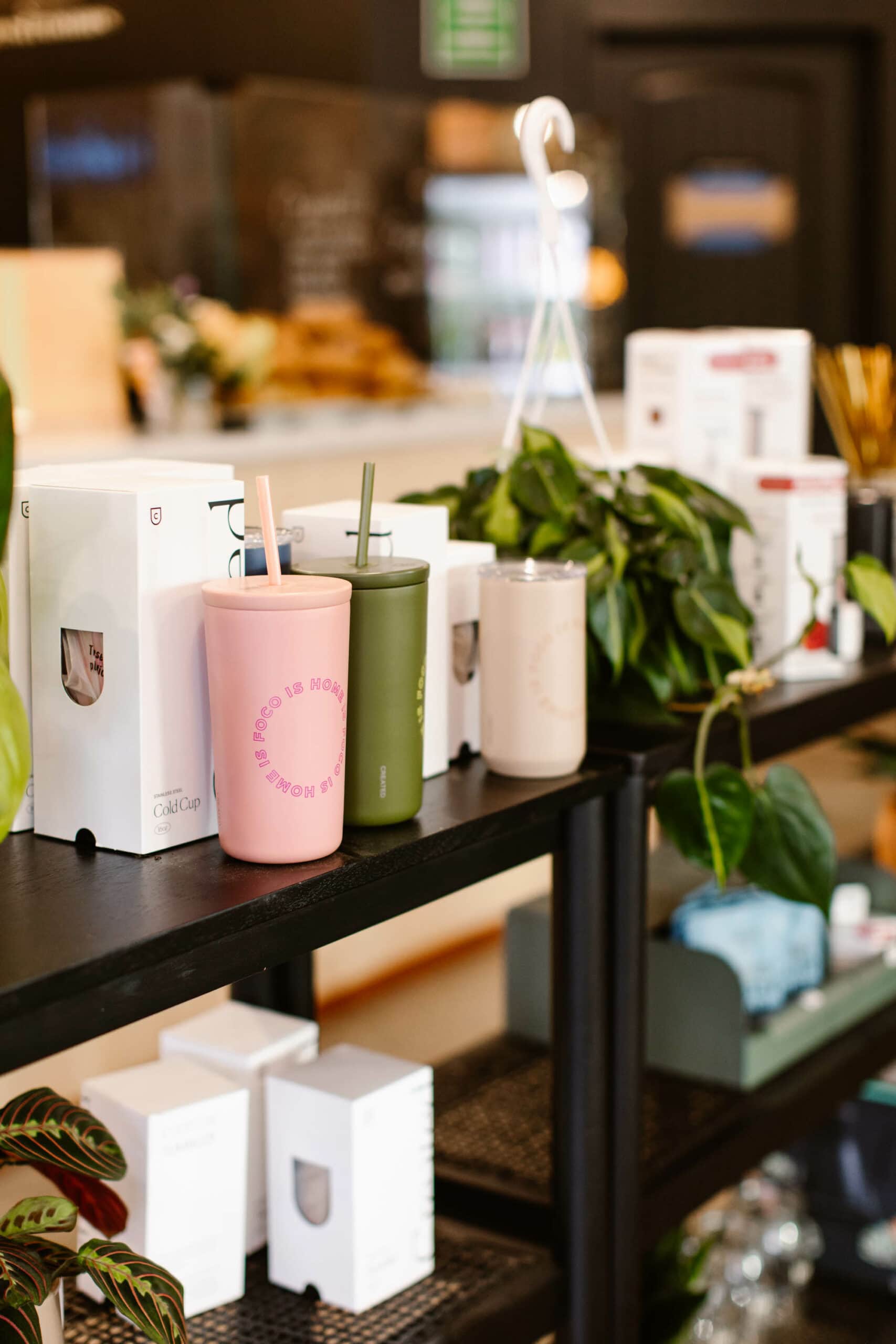 Lima Coffee Roasters in Fort Collins - Full Coffee Shop Review