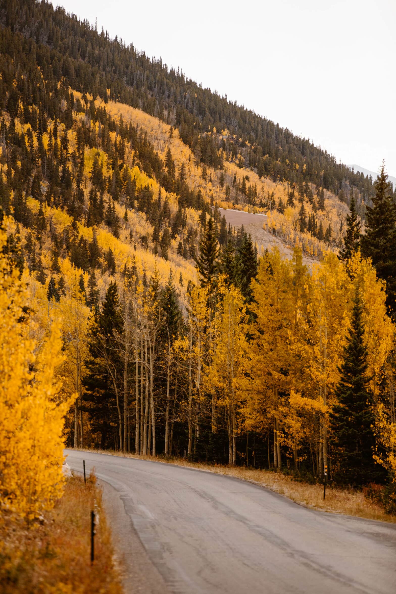 Guanella Pass in Colorado - The Ultimate Guide (By Locals)