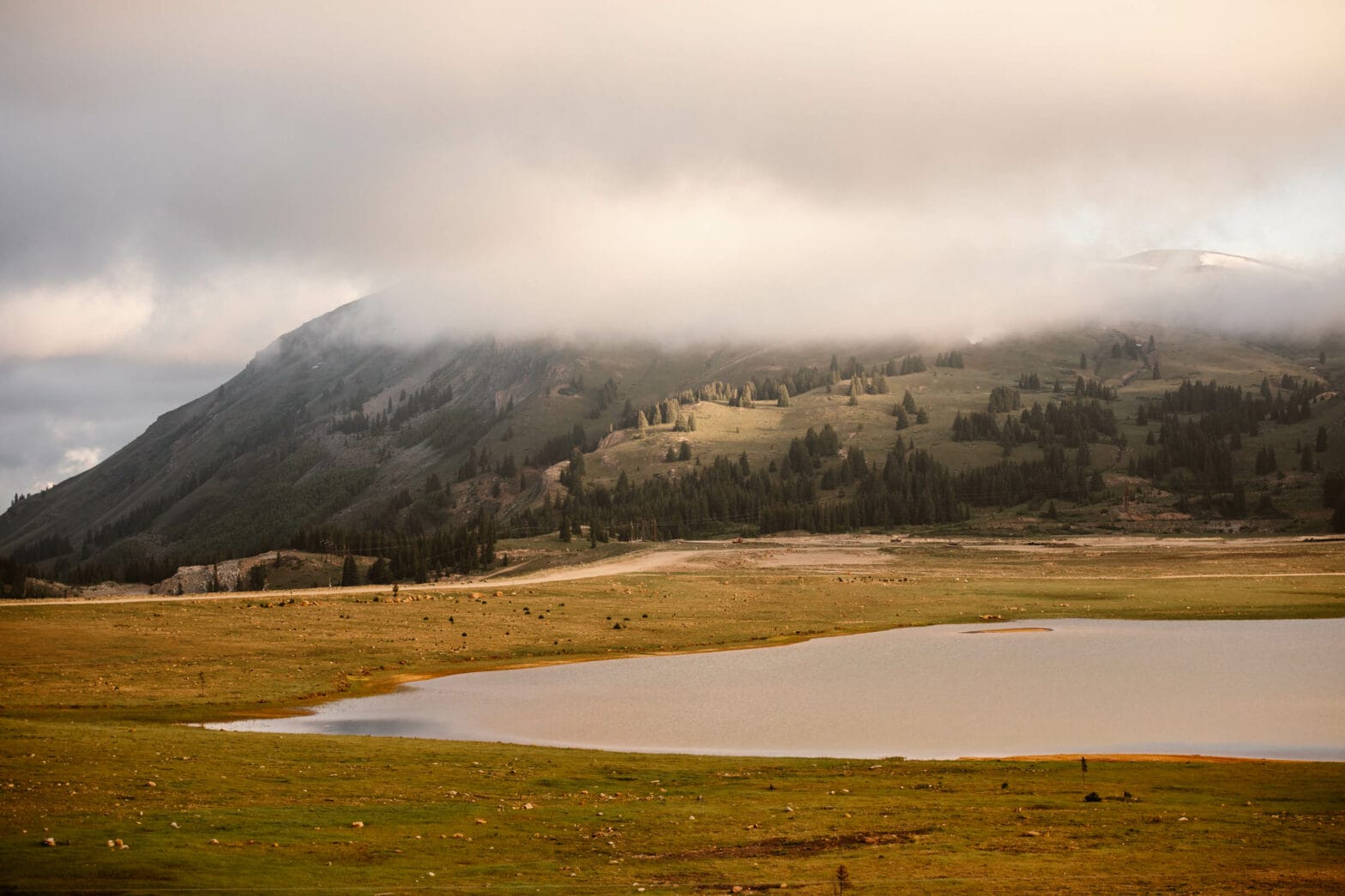Fremont Pass in Colorado - A Local's Guide to the Best Spots