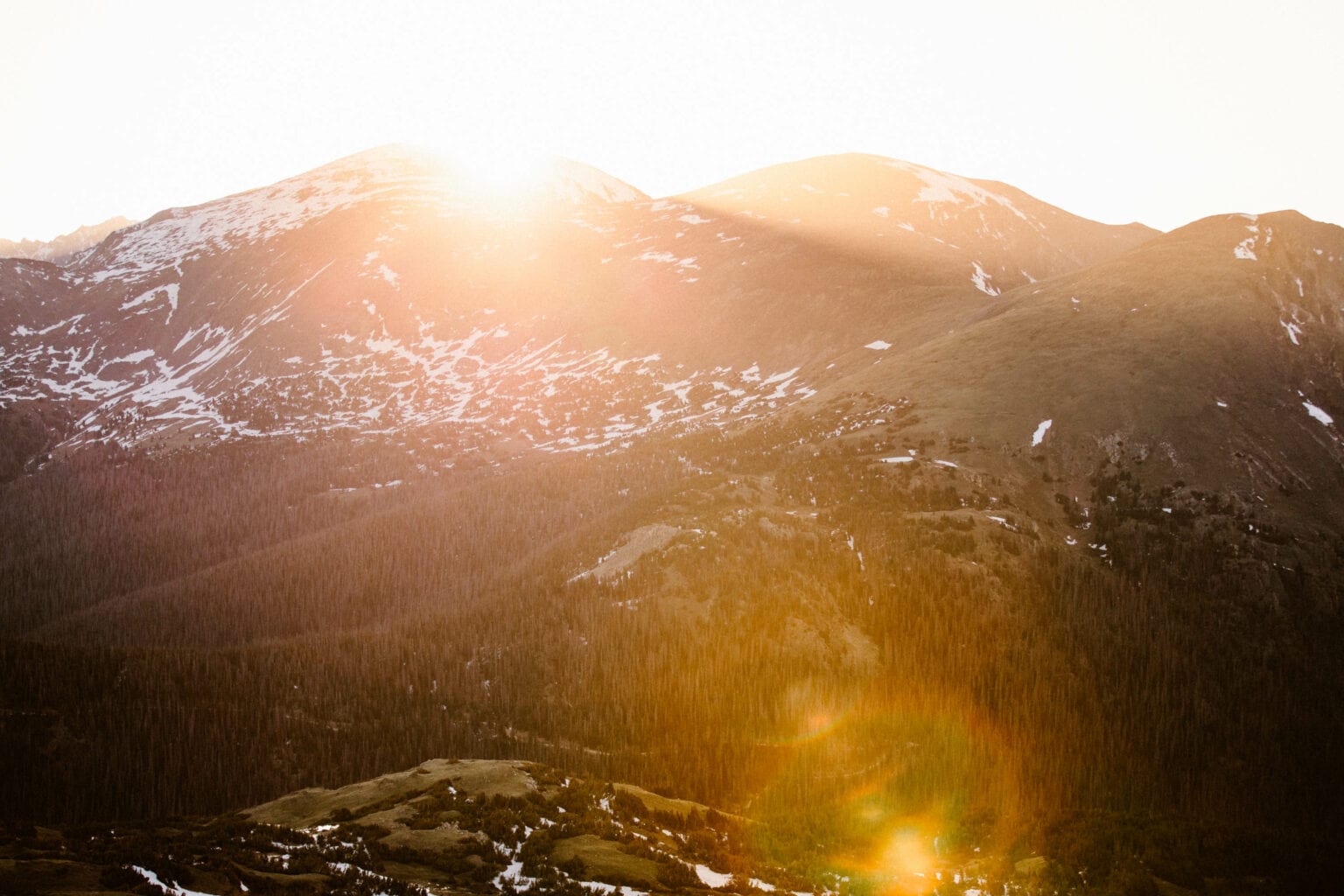 Trail Ridge Road in Colorado - The Ultimate Local's Guide to TRR