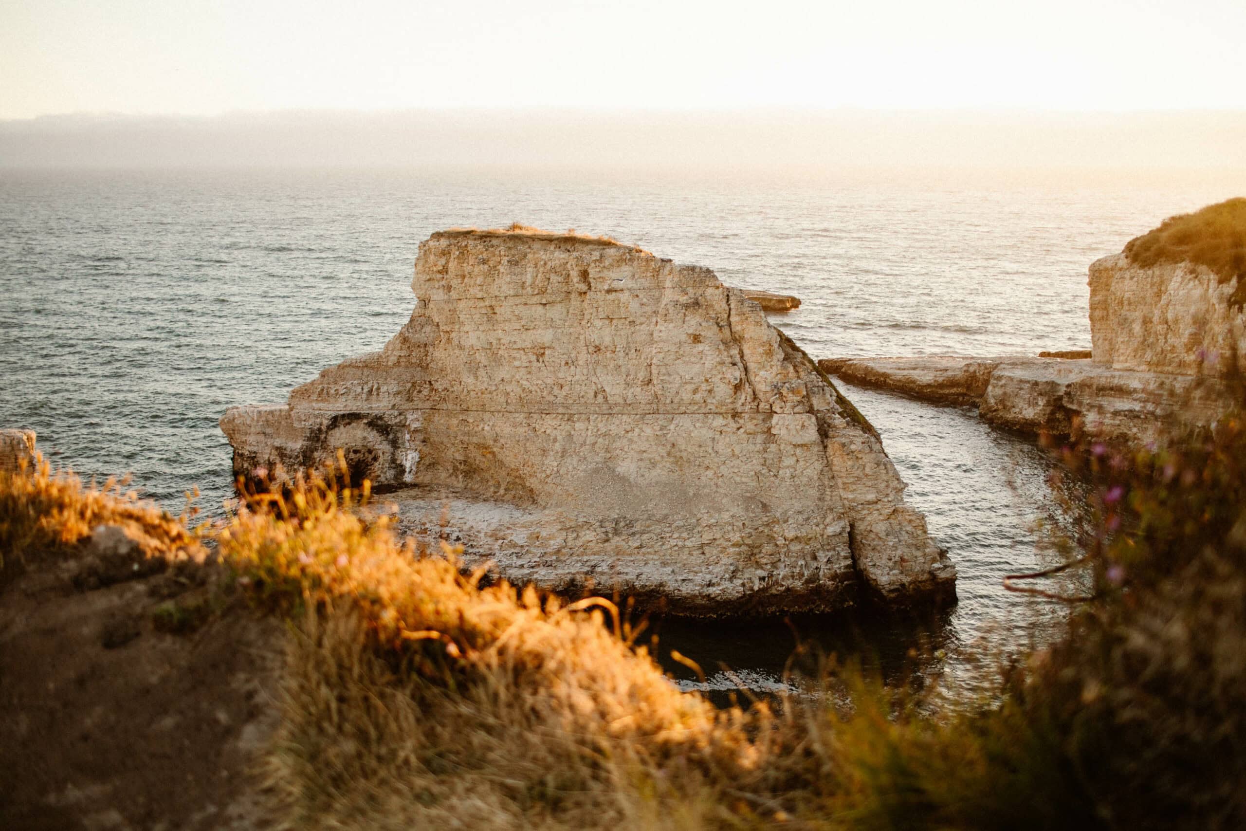 Shark Fin Cove Near Santa Cruz, California - The Ultimate Guide