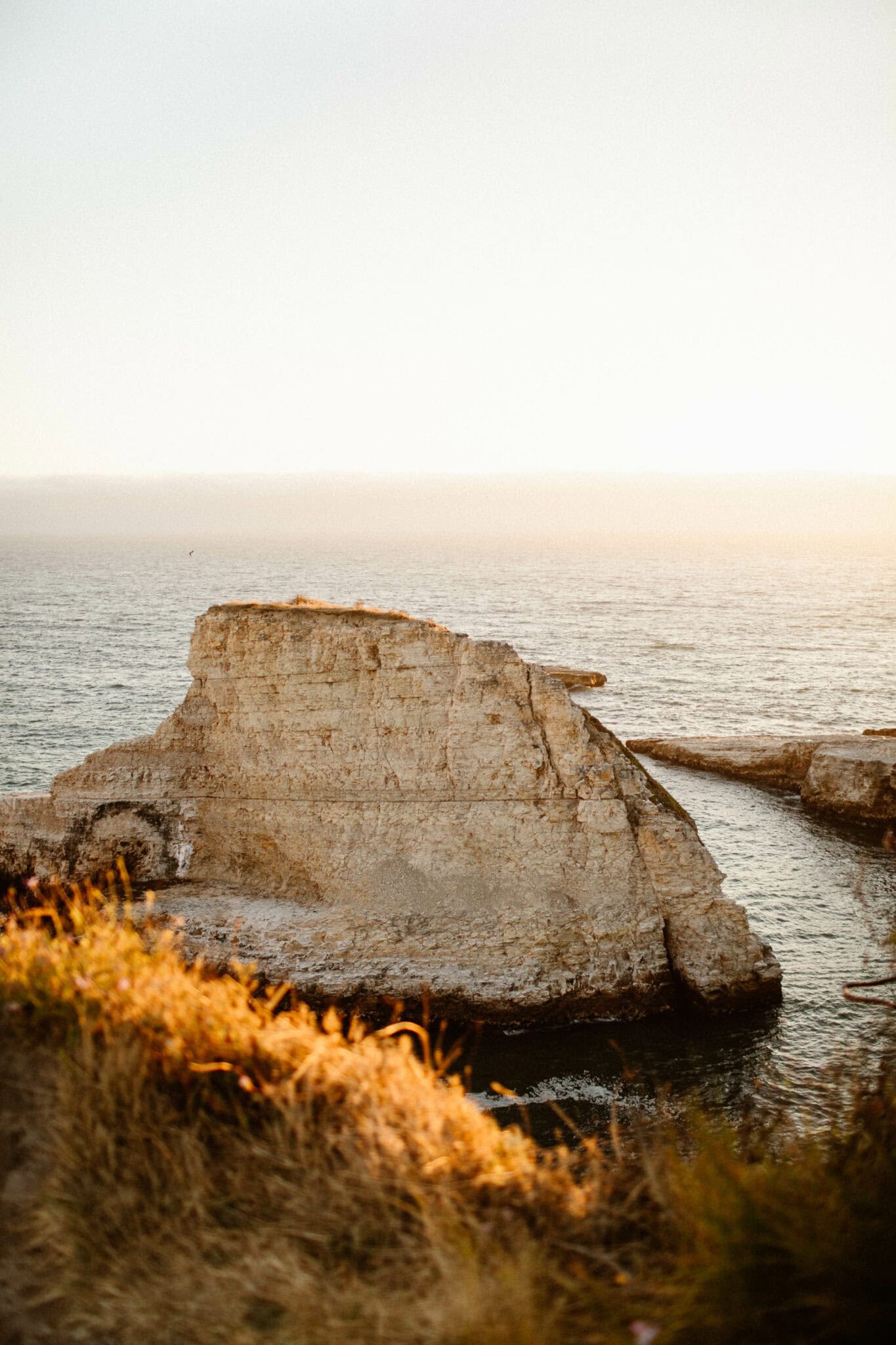 Shark Fin Cove Near Santa Cruz, California - The Ultimate Guide