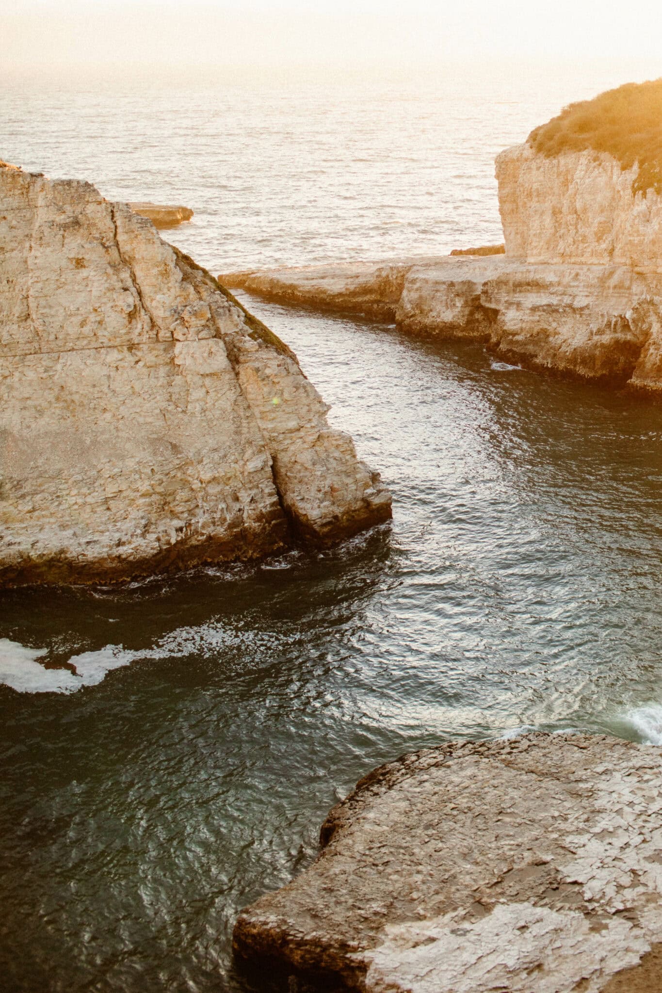 Shark Fin Cove Near Santa Cruz, California - The Ultimate Guide
