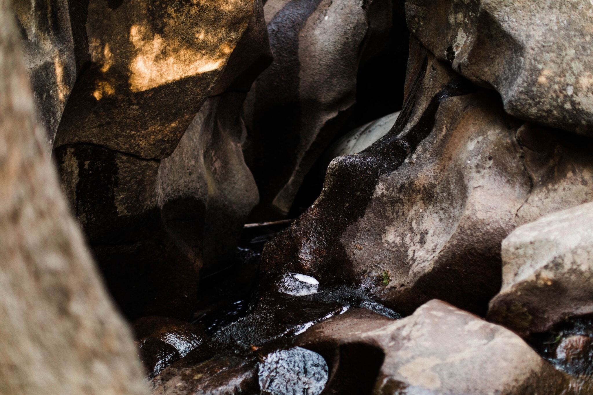 The Grottos Trail in Aspen - Complete Hiking Guide (By Locals)