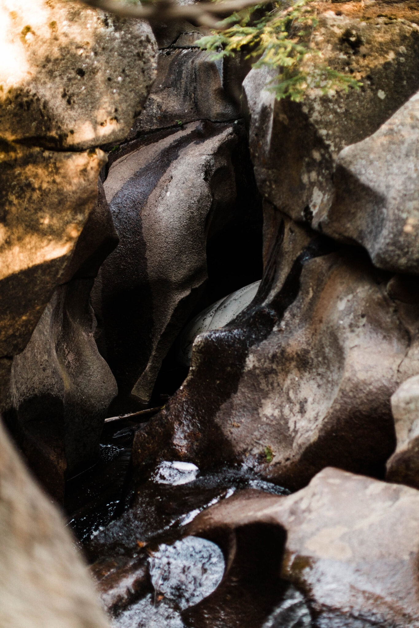 The Grottos Trail in Aspen - Complete Hiking Guide (By Locals)